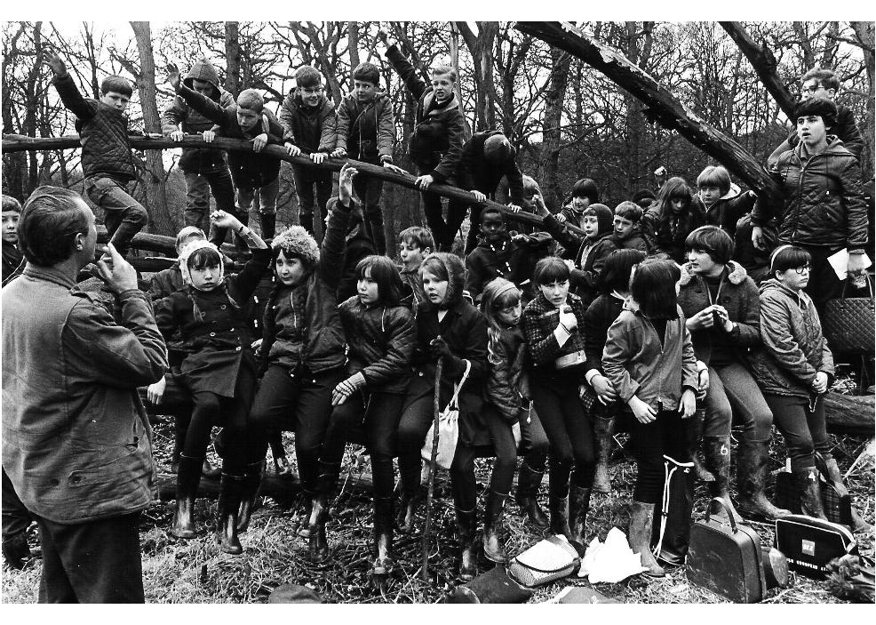 The Hive, outdoor forest education in Epping Forest for schools